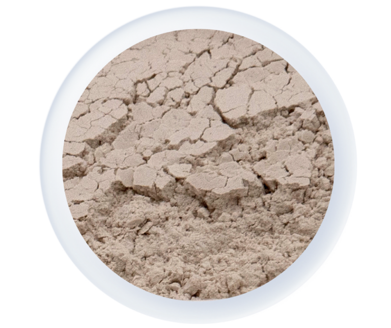 Lila’s Instrument Stain Remover - Surgmed Group