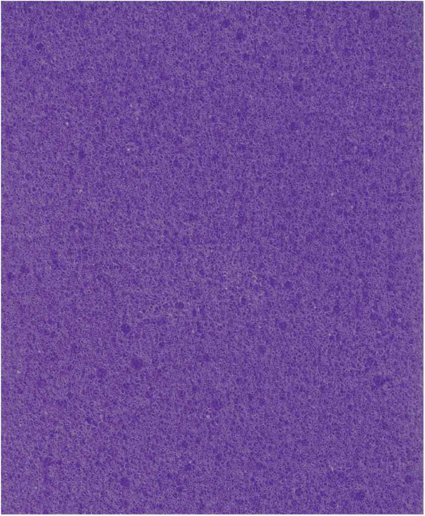 Enzymatic Bedside Sponge Kits - Surgmed Group